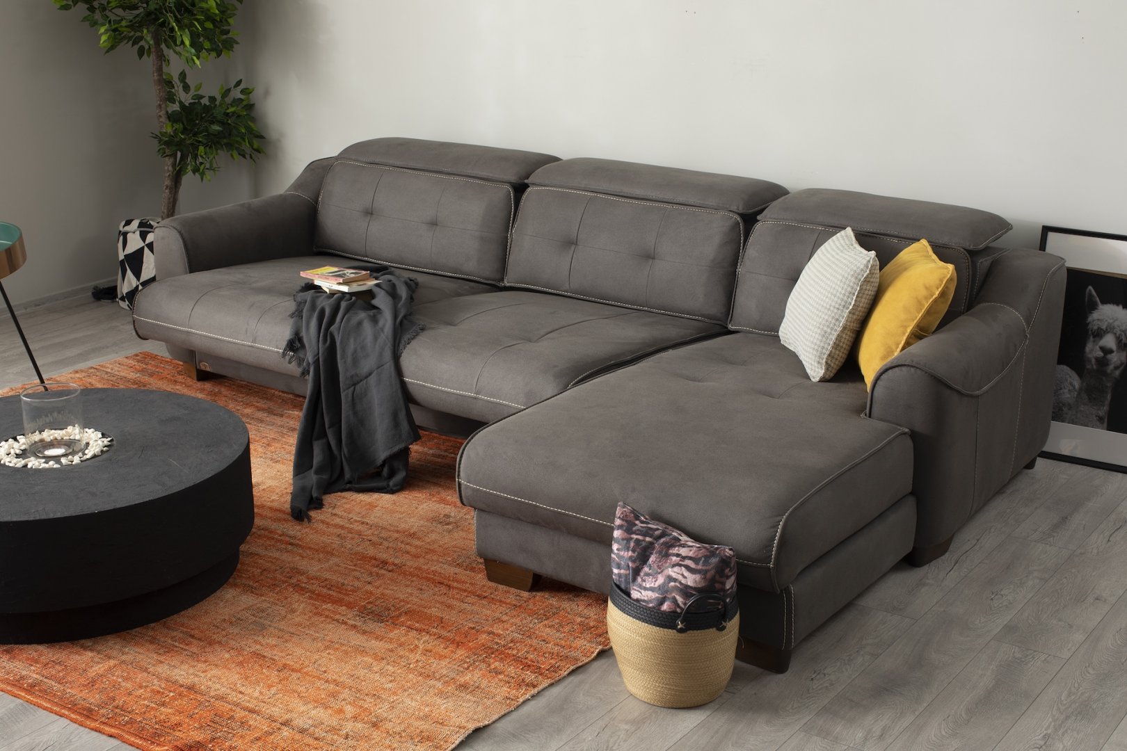 Smart Couch Set
